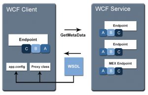 Programming WCF Services