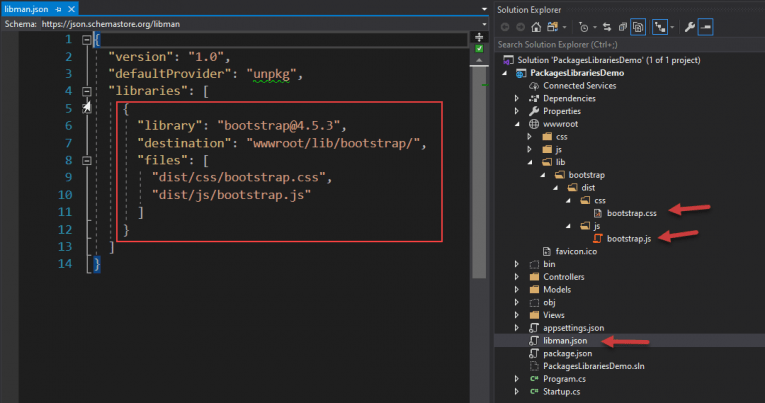 Working with Packages and Libraries in ASP.NET Core